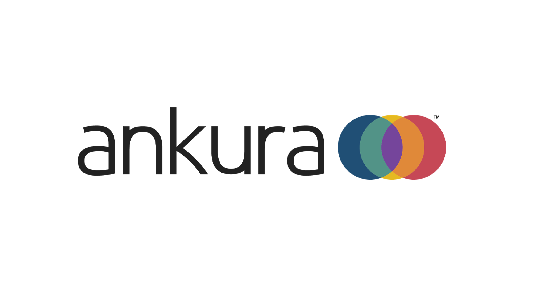 All Ankura Insights All Ankura Insights
